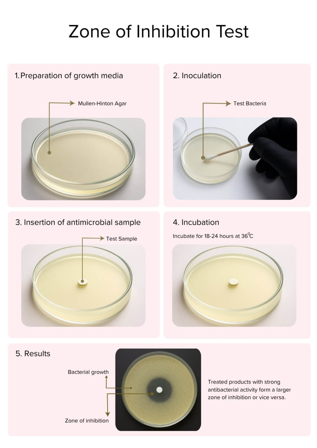 Zone of Inhibition Test - Kirby Bauer Test