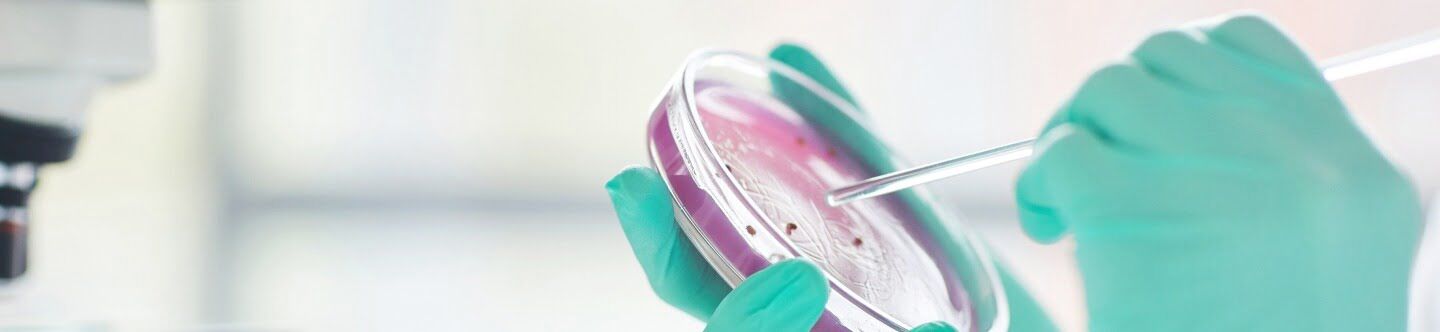 Understanding the Importance of Antimicrobial Effectiveness Testing in ...