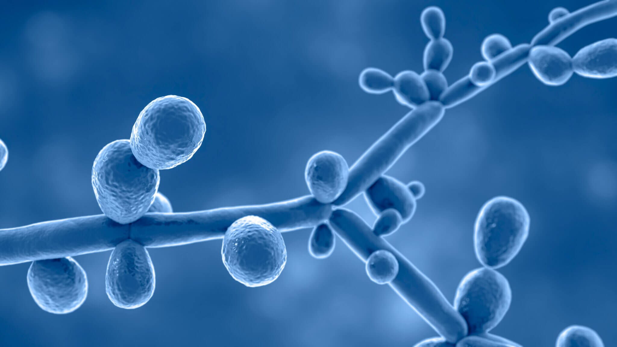 UV-C Disinfection in Healthcare: Applications in Healthcare Settings